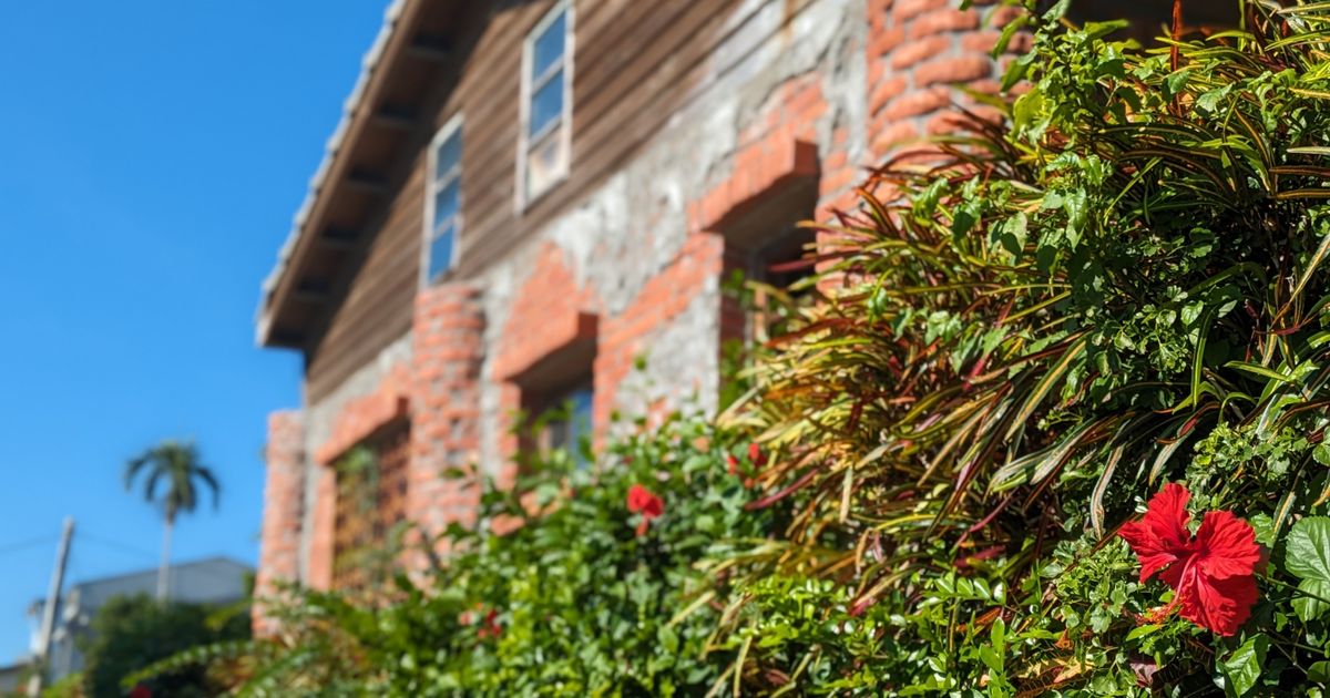 官網訂房 - 都蘭小星民宿 | OwlNest區塊鏈旅宿系統